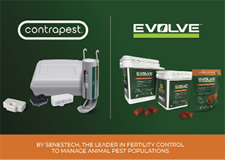 A Revolutionary Rodent Fertility Control Provides More Effective, Long ...