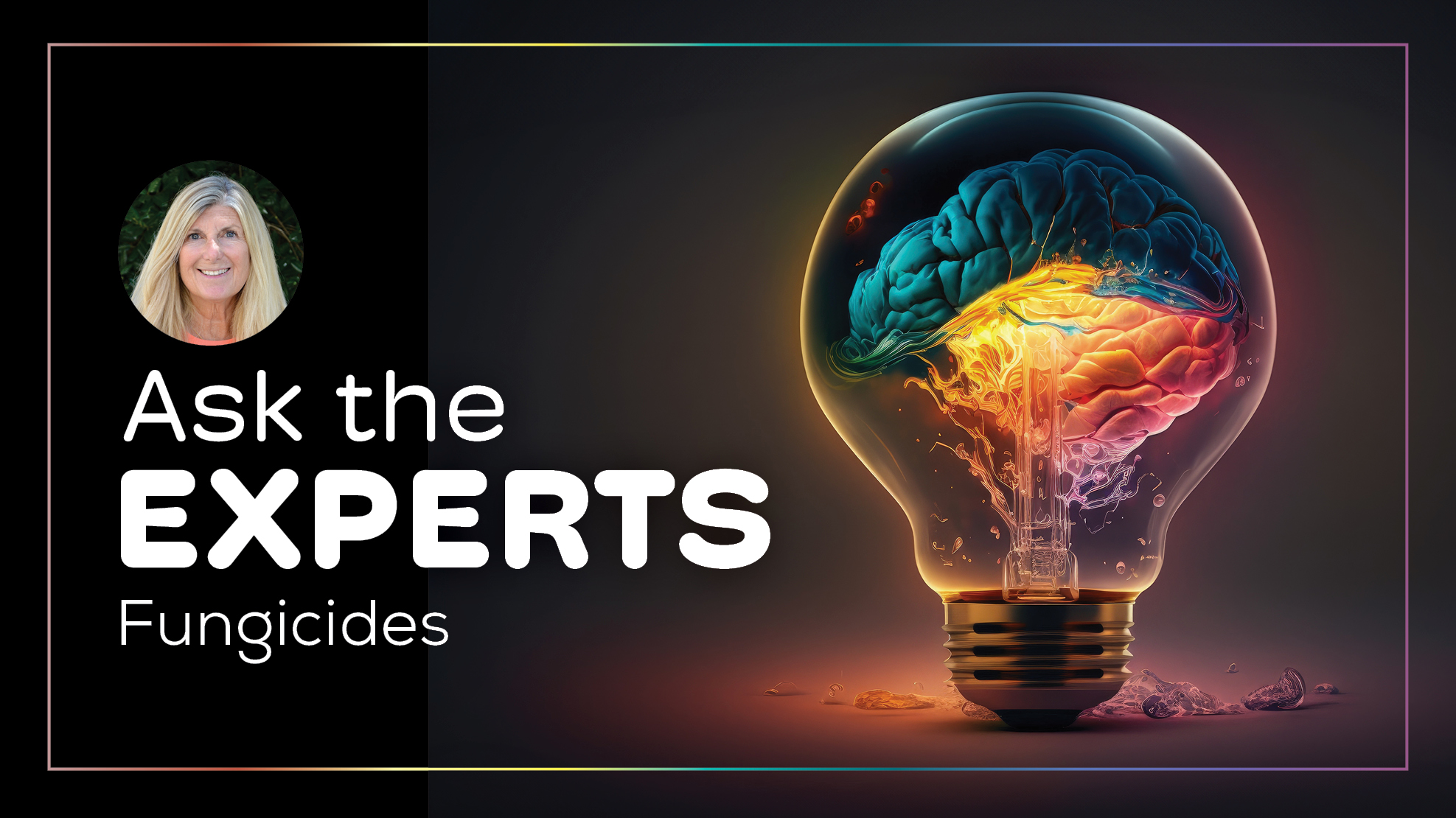 Syngenta: Enhance plant health with Mural fungicide - Greenhouse Management