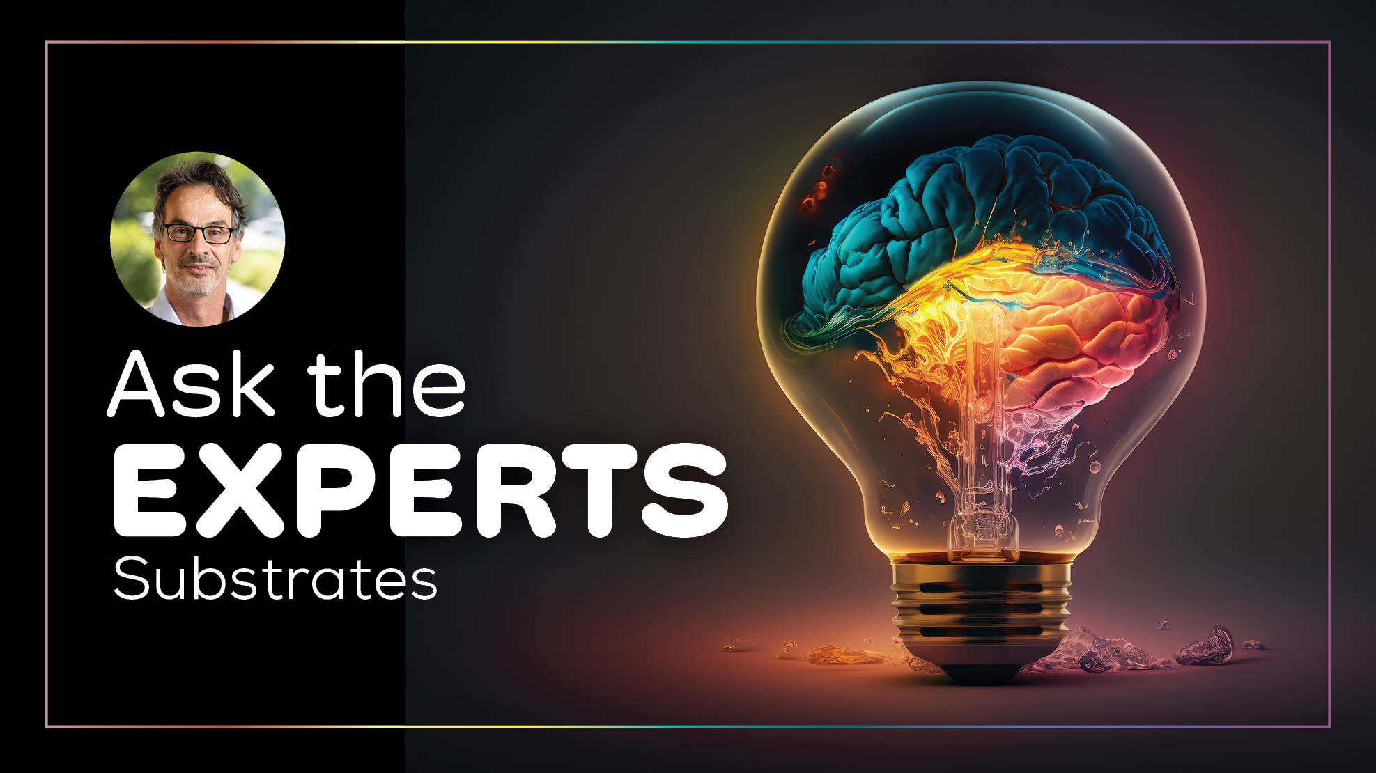 Jiffy: Substrate solutions - Greenhouse Management