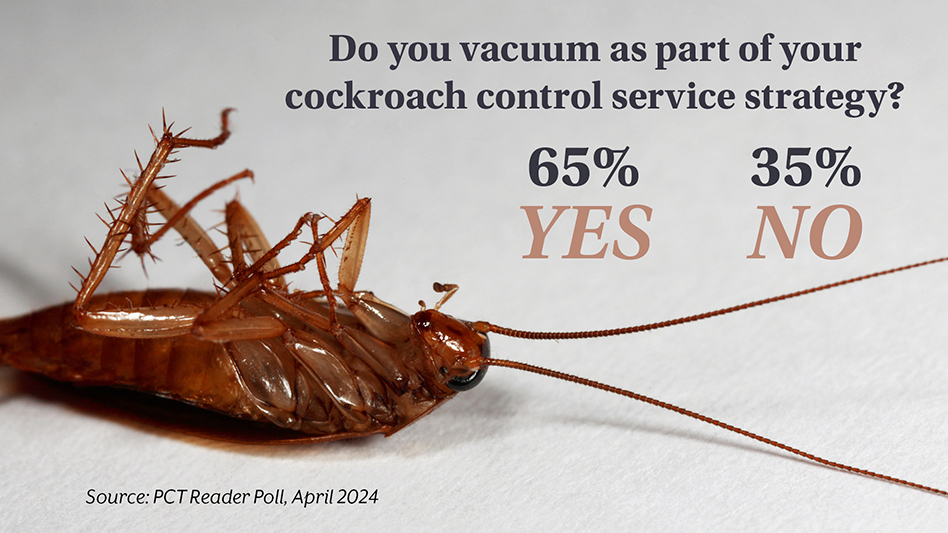 Vacuuming an Important Part of Integrated Cockroach Management, PMPs ...