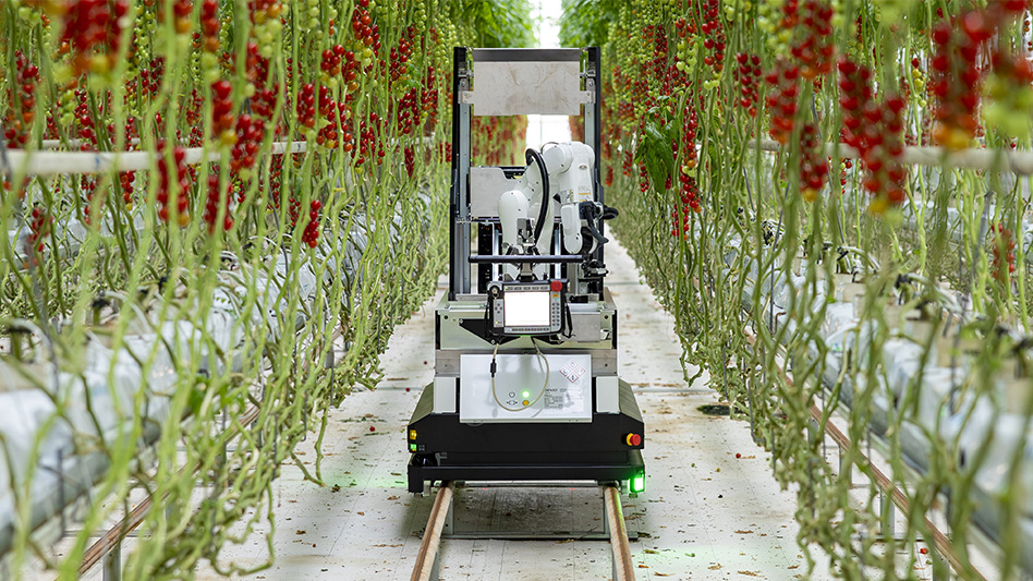 DENSO and Certhon introduce Artemy, a fully automated cherry truss ...