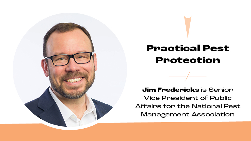 Why You Should Partner with a Qualified Pest Control Company - Quality ...