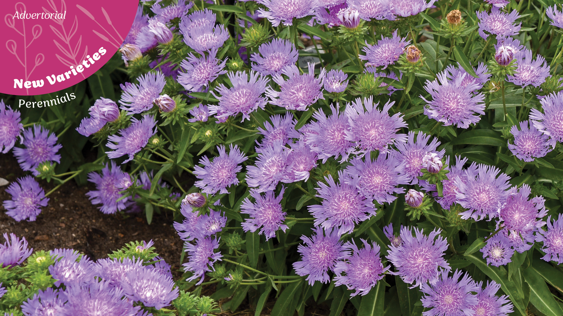 Walters Gardens - Greenhouse Management