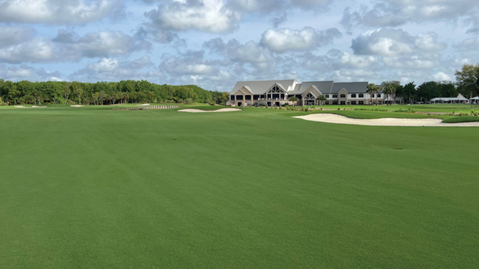 Employee fringe benefits and member donations: The ultimate example ...