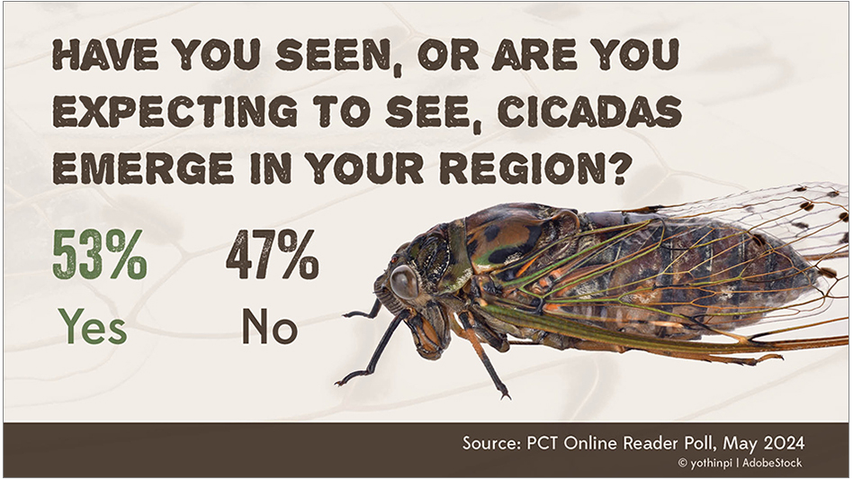 PMPs in Some Areas of the U.S. Report Emergence of Cicadas - Pest ...