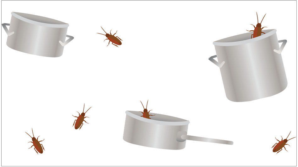 Cockroach Hot Spots in Commercial Kitchens - Pest Control Technology
