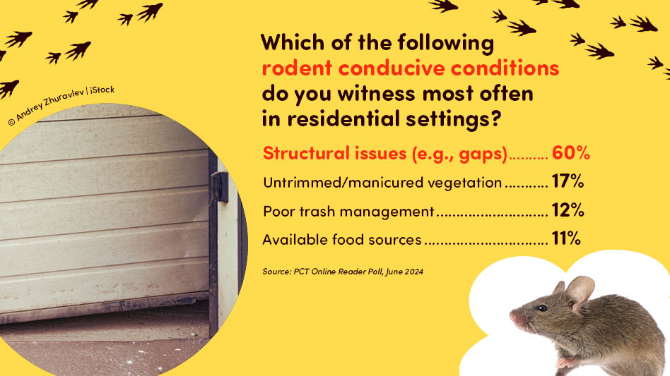 Structural Issues Biggest Rodent Conducive Condition in Residential ...