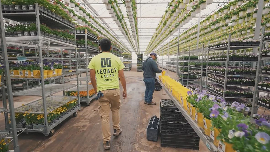 Cultivate'24 Preview: Legacy Labor - Greenhouse Management