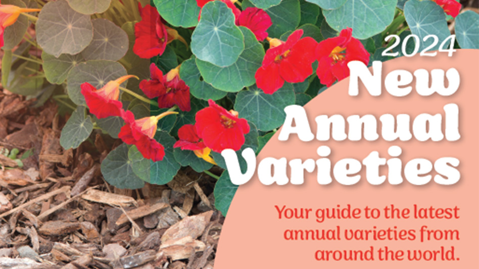 2024 New Annual Varieties guide - Garden Center