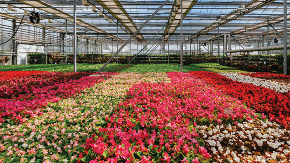 Regular checkups - Greenhouse Management