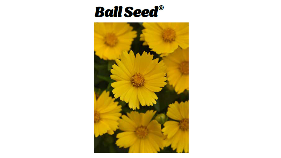 Ball Seed - Produce Grower