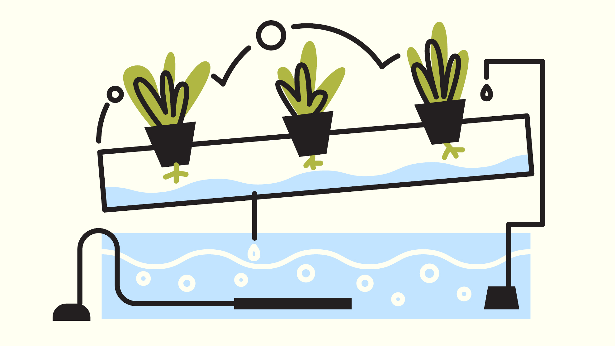 So you want to grow without soil? - Greenhouse Management