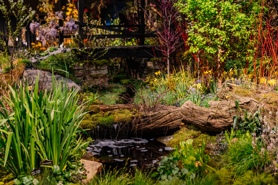 Pennsylvania Horticultural Society predicts top gardening trends from ...