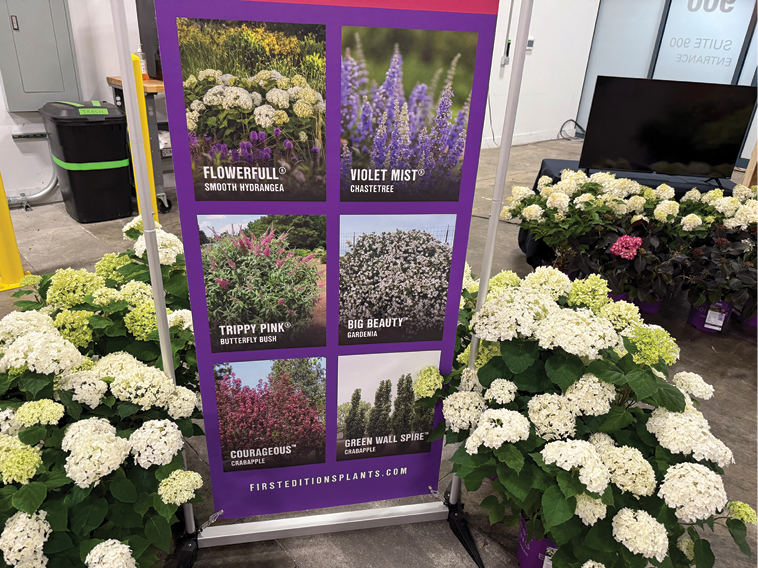 The world of hydrangeas - Nursery Management