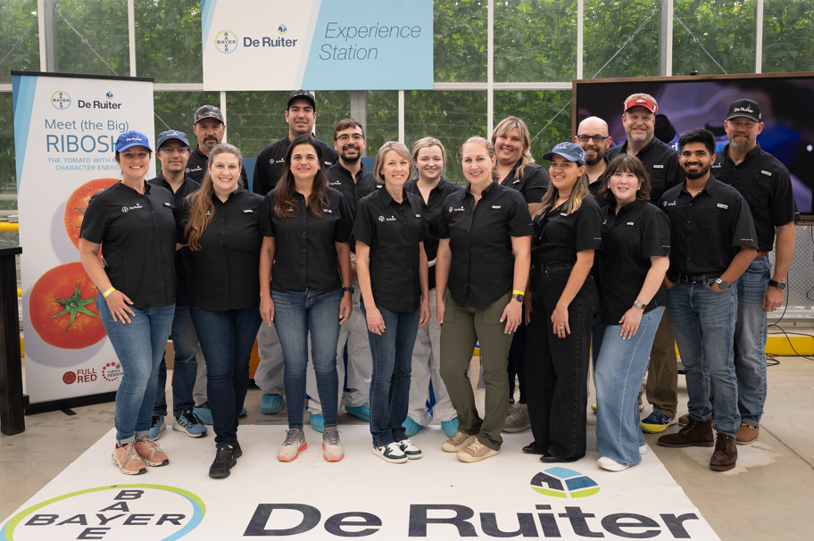 De Ruiter showcases new tomato varieties at Spring Demo Day - Produce ...