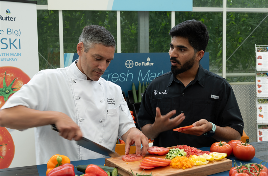 De Ruiter showcases new tomato varieties at Spring Demo Day ...