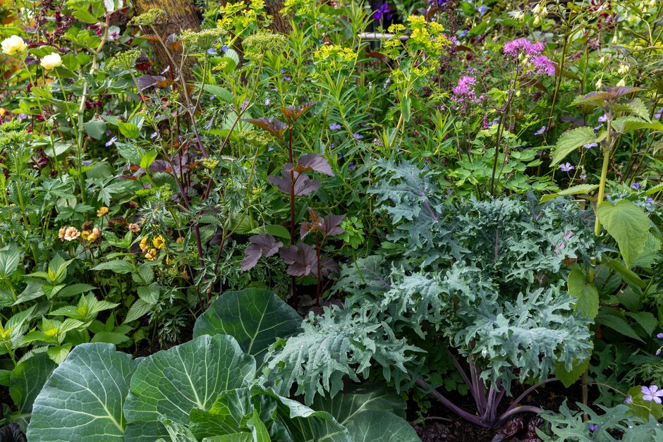 6 trends and takeaways from the RHS Chelsea Flower Show 2026 - Nursery ...