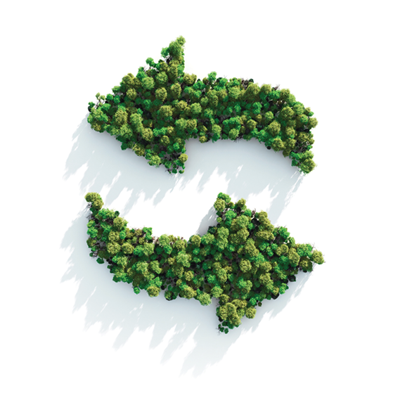 ’Round and ’round - Lawn & Landscape