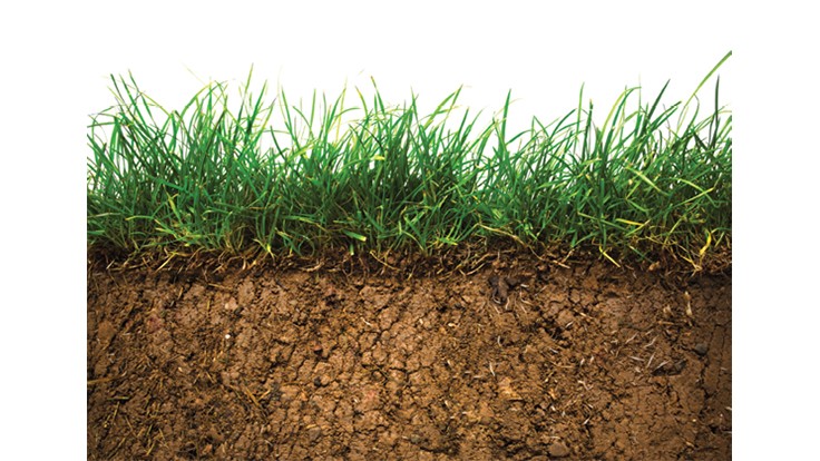 Beneath the grass - Lawn & Landscape