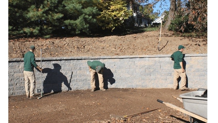 Looking good - Lawn & Landscape