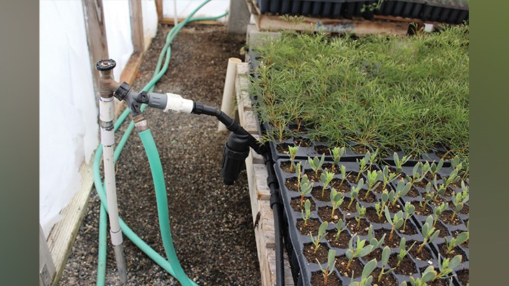 Water-wise mats case study - Garden Center