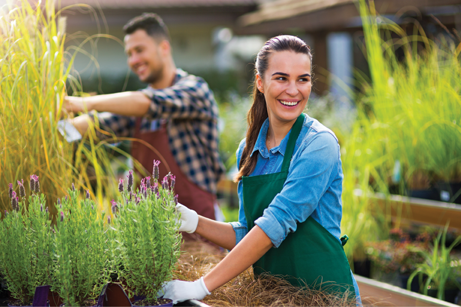 Workplace romances at garden centers: what you should know - Garden Center