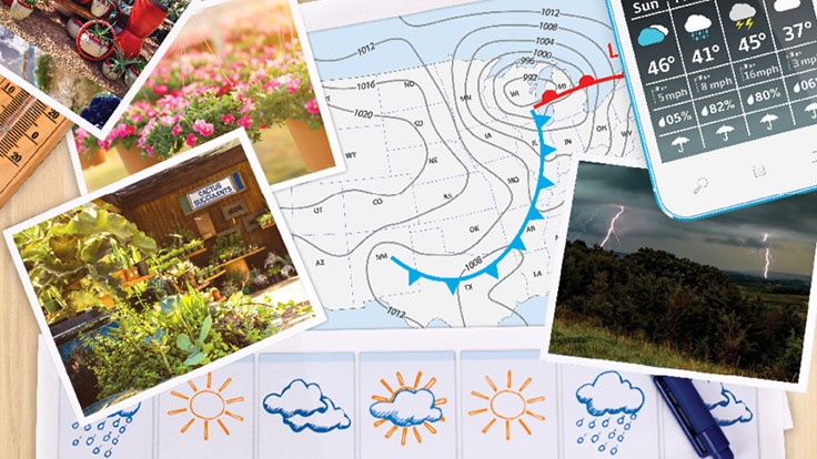 Success, rain or shine - Garden Center