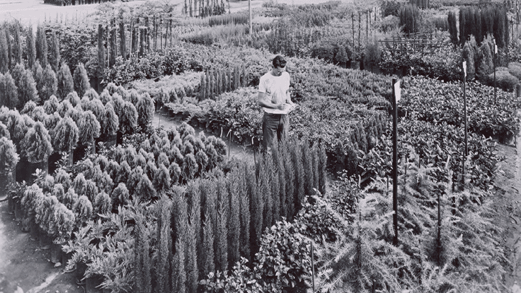 Monrovia - Garden Center