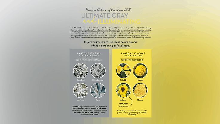 Pantone Colors of the Year 2021: Ultimate Gray and Illuminating ...
