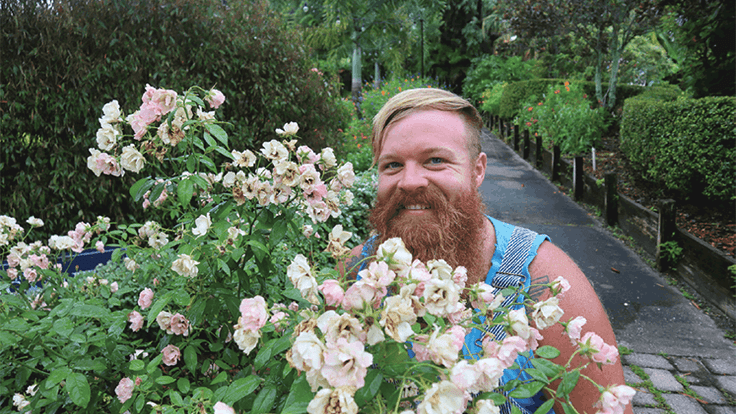 Roses | Brindabella Roses are hardy, fragrant additions to gardens ...