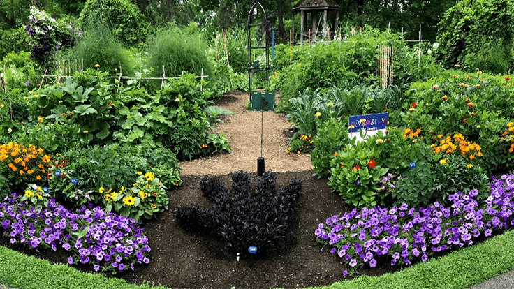 Diverse landscapes - Garden Center