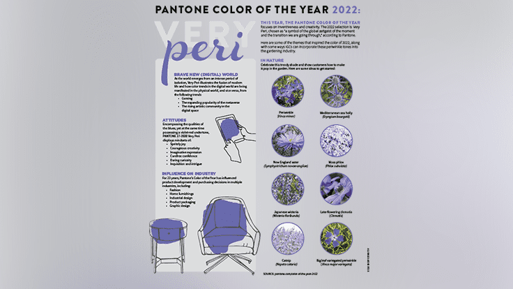 Pantone Color of the Year 2022: Very Peri - Garden Center