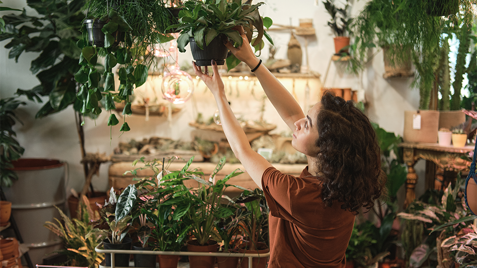 The next big thing - Garden Center