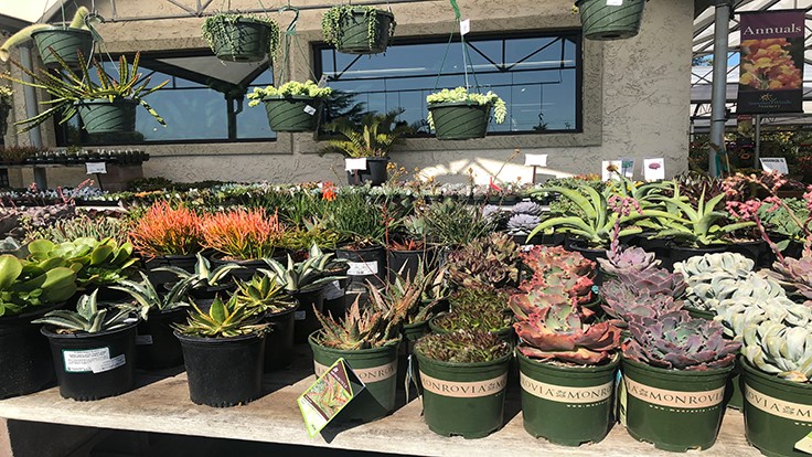 Plant pricing begins with costs, but doesn't end there - Greenhouse ...