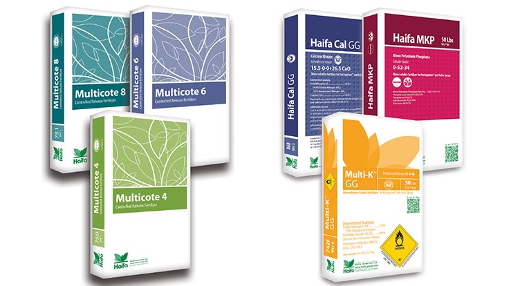 How Haifa’s fertilizers help growers - Greenhouse Management