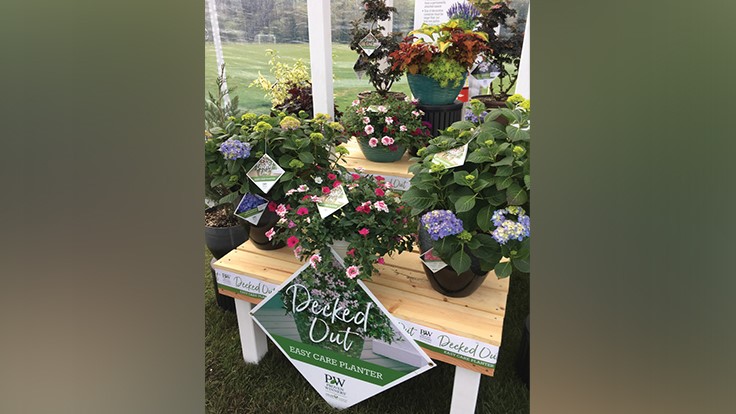 Plant trials evolution - Greenhouse Management