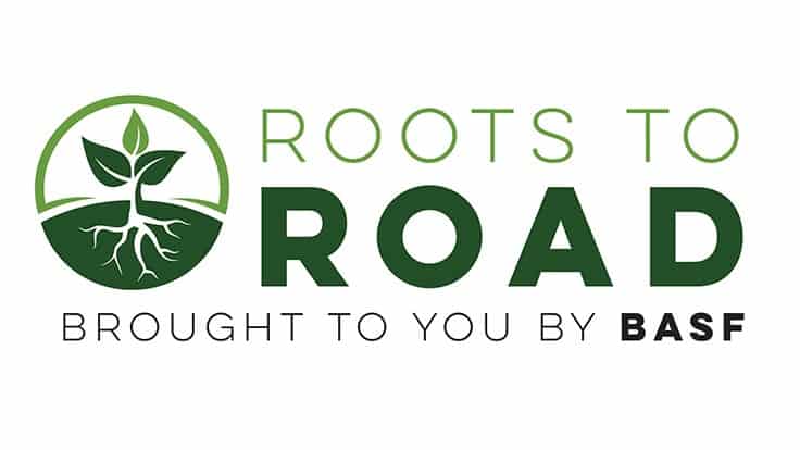 Black root rot: Everything you need to know to combat one of the most ...