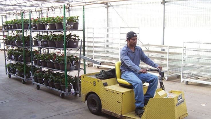 8 tips to increase workforce efficiency - Greenhouse Management