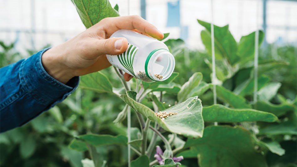 Fundamentals of IPM: Cover all the bases - Greenhouse Management