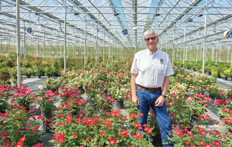 A path of boldness - Nursery Management