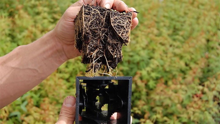 Questions with Wayne Hinton - Nursery Management