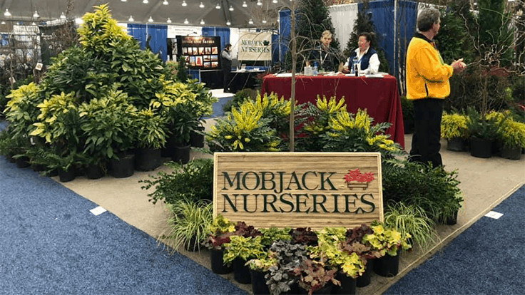 Mobjack Nurseries - Nursery Management