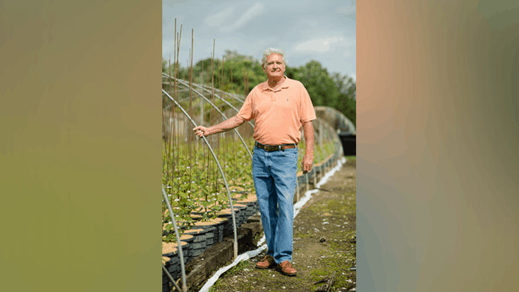 Communication and collaboration - Nursery Management