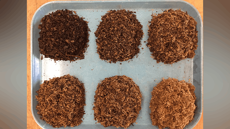 The marriage of bark and wood - Nursery Management