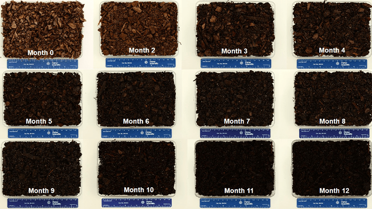 Substrate maturation - Nursery Management
