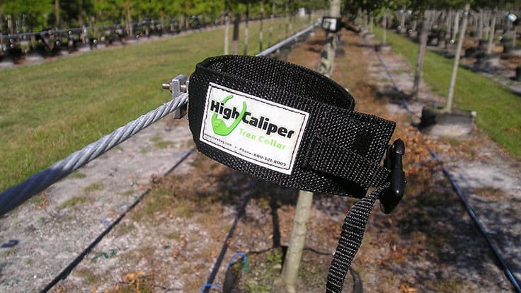 A Growing Revolution - Nursery Management