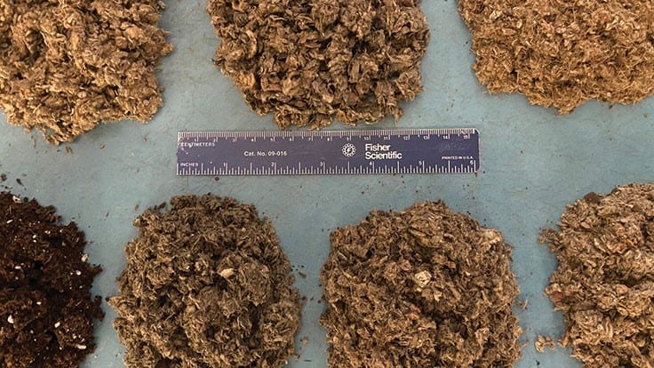 Substrate extenders and alternatives - Nursery Management