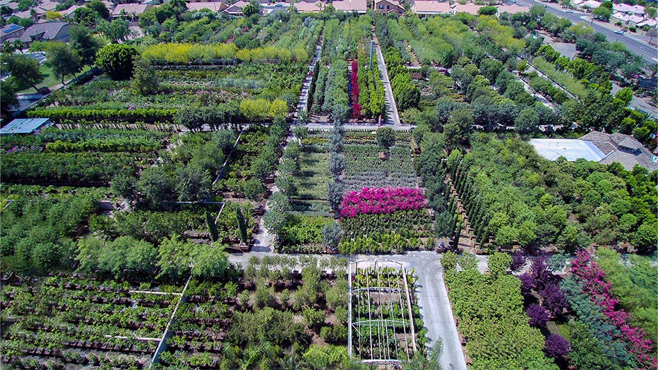 Moon shot - Nursery Management