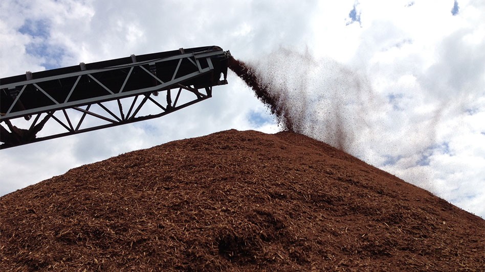 Where’s the bark? - Nursery Management