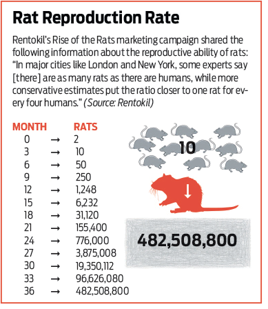 22yo living alone need help with big rats problem : r/HomeImprovement